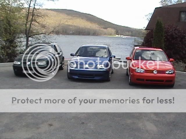 What's in and Out | VW Vortex - Volkswagen Forum