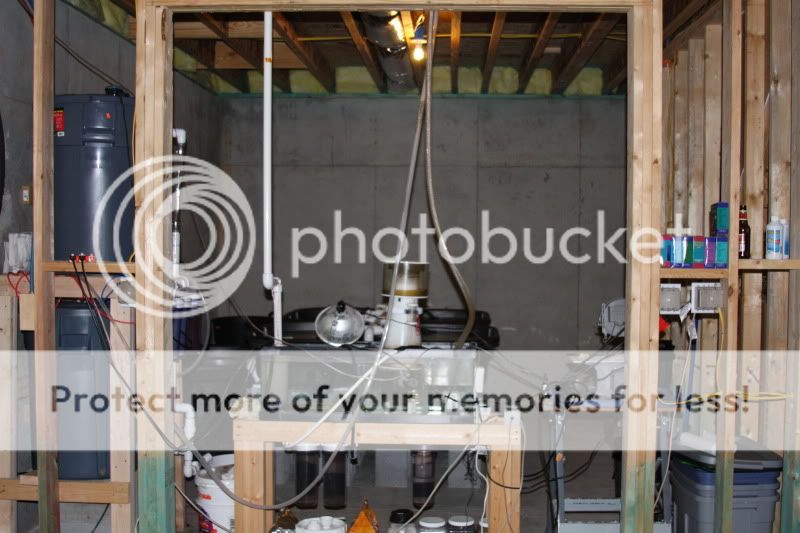 How to insulate, ventilate, heat my basement fish room? PICS INCLUDED ...