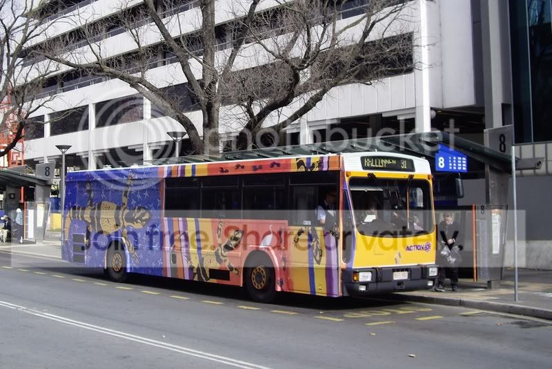 [ACT/NSW] Aboriginal Liveried Buses (ACTION and DBL)