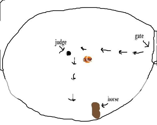 Halter Class material? Patterns? | The Horse Forum