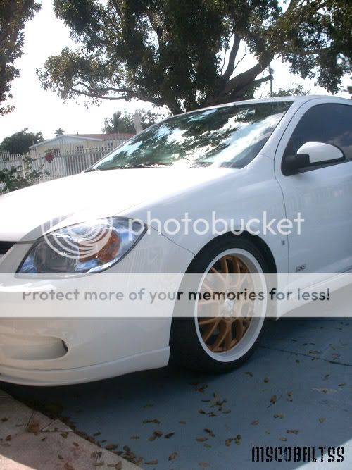 Bad Ass Gold Rims... | Cobalts SS