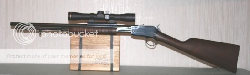 Taurus 62 pump - a great rifle with amazing accuracy...-pics ...
