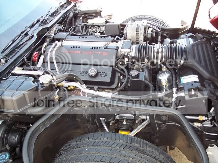 Engine compartment dress-up - CorvetteForum - Chevrolet Corvette Forum ...